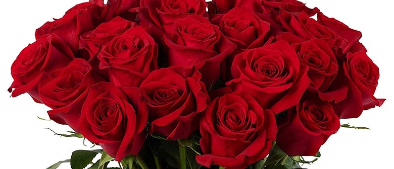 Rose Society - Spring Rose Show - Brisbane - Eventfinda