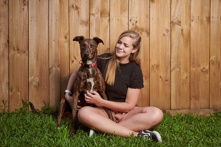 Petspiration Foundation's National Pet Adoption Month - Brisbane ...