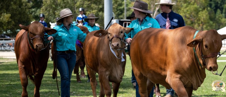 2023 Mudgeeraba Agricultural Show - Gold Coast - Eventfinda
