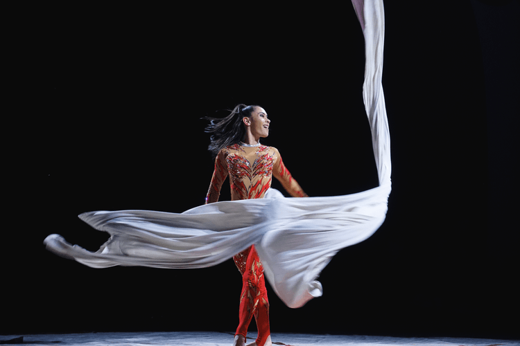 The Circus - Cairns - Eventfinda