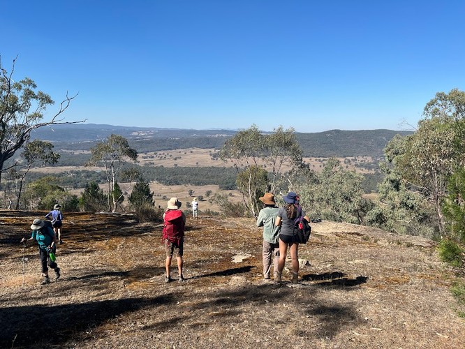 Try Bushwalking with CAEX - Yarra Flats Loop - Melbourne - Eventfinda