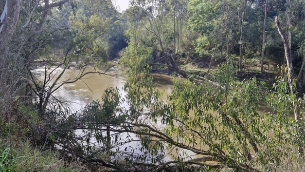 Try Bushwalking with CAEX - Yarra Flats Loop - Melbourne - Eventfinda