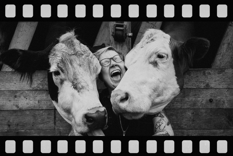 Animal Liberation Film Festival - Melbourne - Eventfinda