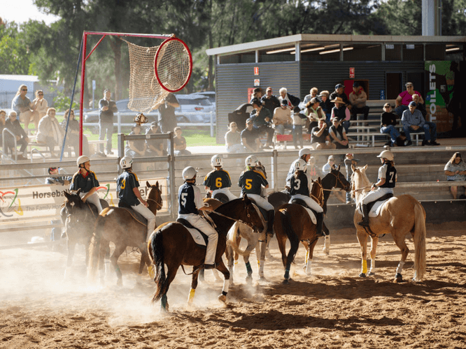 Scone Horse Festival - Hunter Valley - Eventfinda